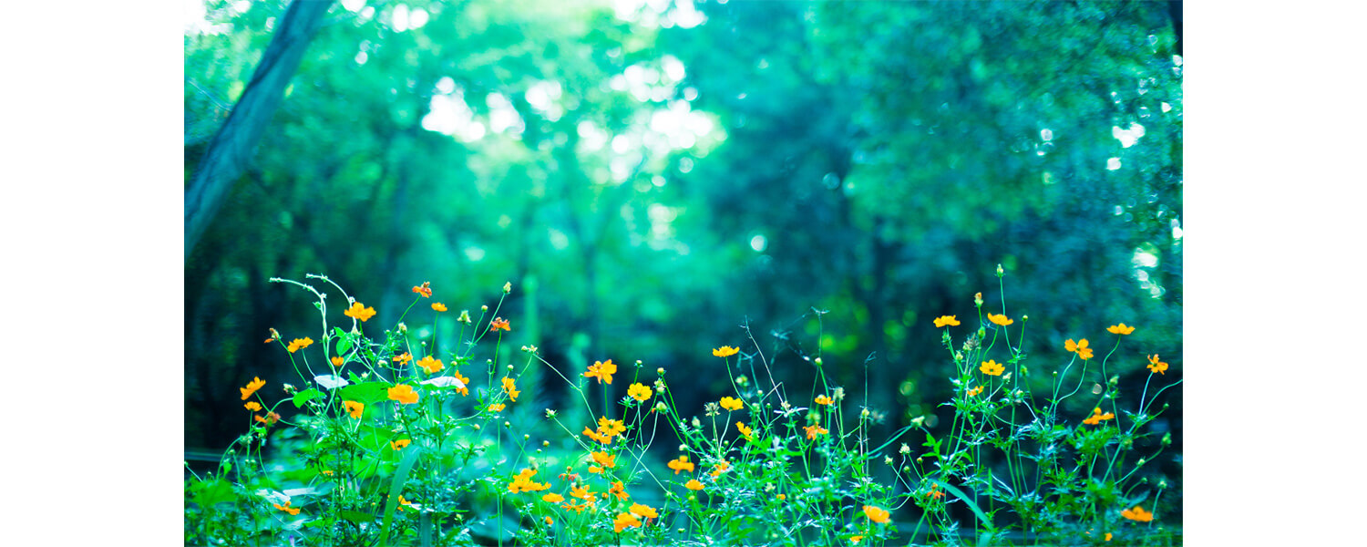 社会保険労務士 KANAOFFICE 採用ホームページ [採用・求人情報]