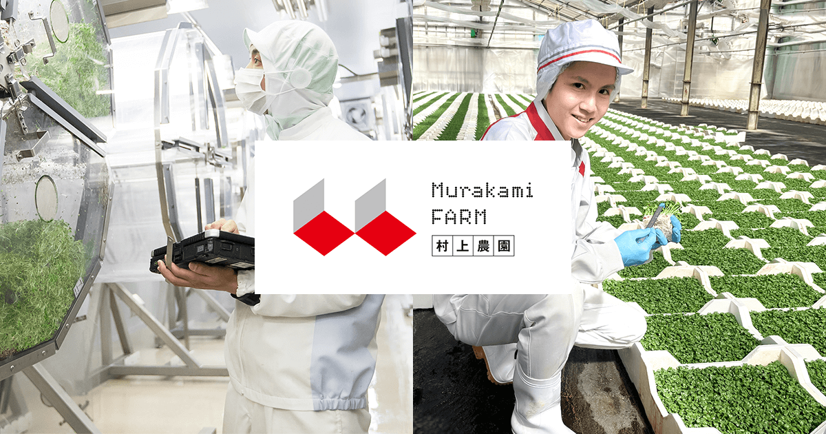 株式会社村上農園＜公式＞採用ホームページ